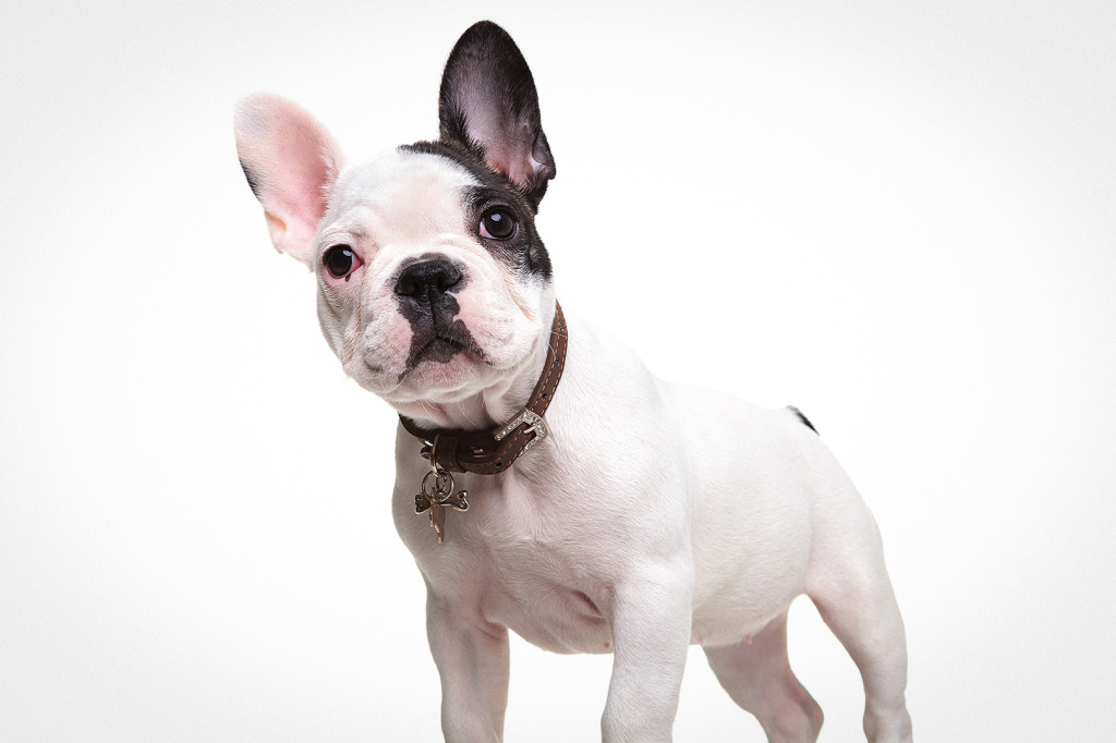 Blog Viorel Sima - The Photographer