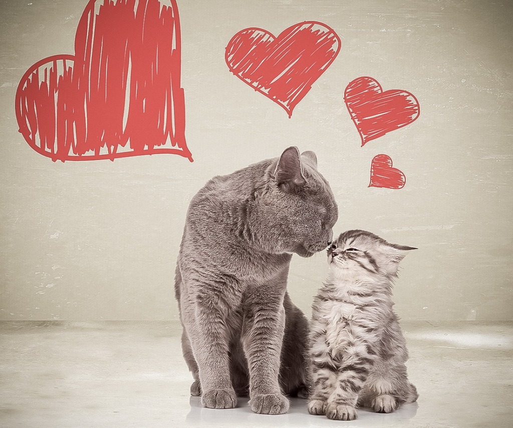 Blog Viorel Sima - The Photographer